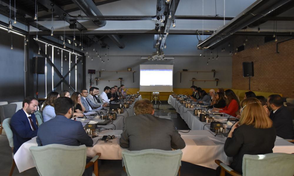 OECD SIGMA Uzmanlarının Katılımlarıyla Genel Müdürlüğümüzde Çalıştay ...