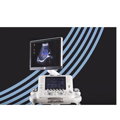 8056304453419 ESAOTE Mylab X8 MYLAB X8 Sabit Renkli Doppler ...